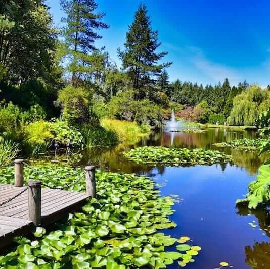 Clear-Water® Pond Products - Summit® Responsible Solutions