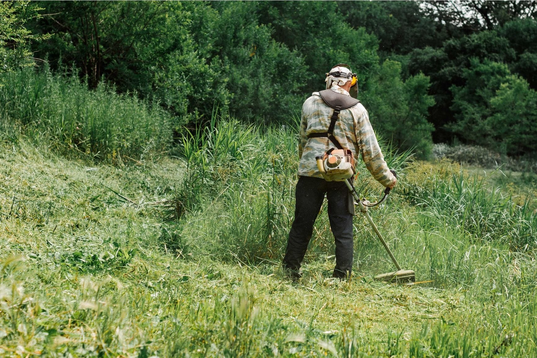 Lyme disease is one of the most common tick-borne diseases in the ...