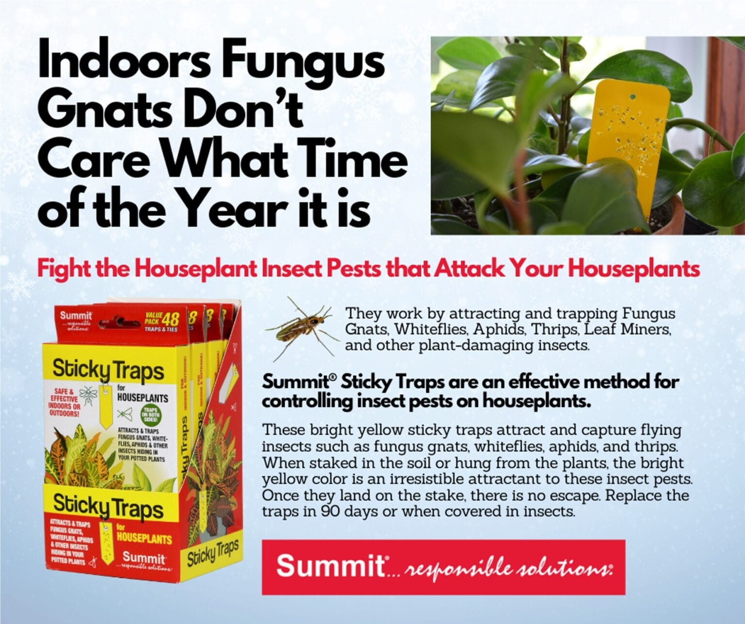 Fungus Gnats Don’t Care What Season it is - Summit® Responsible Solutions