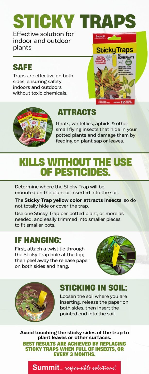 Summit Sticky Traps — Traps on Both Sides Safe & Effective Indoors and ...